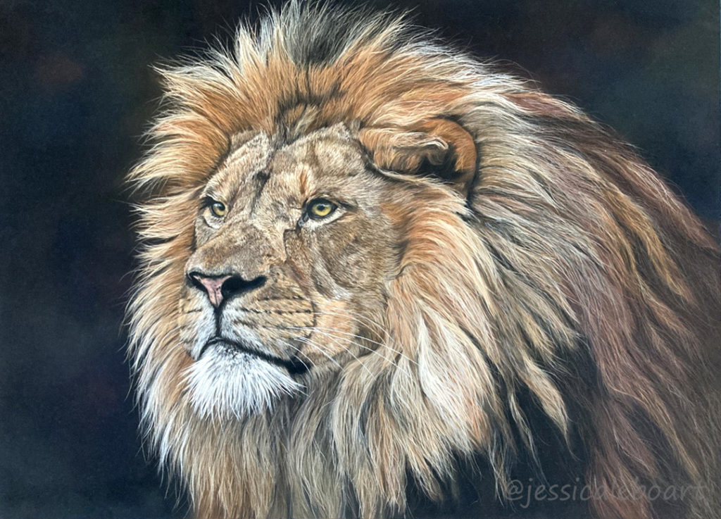 Lion – Jessica Lebo Art